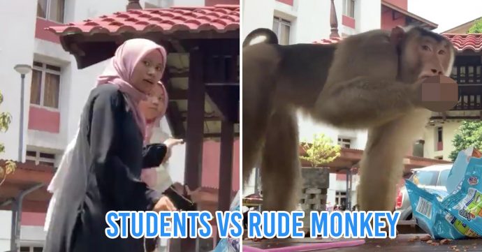 M'sian Students Photobombed By Monkey, Twitter Applauds Them As They ...