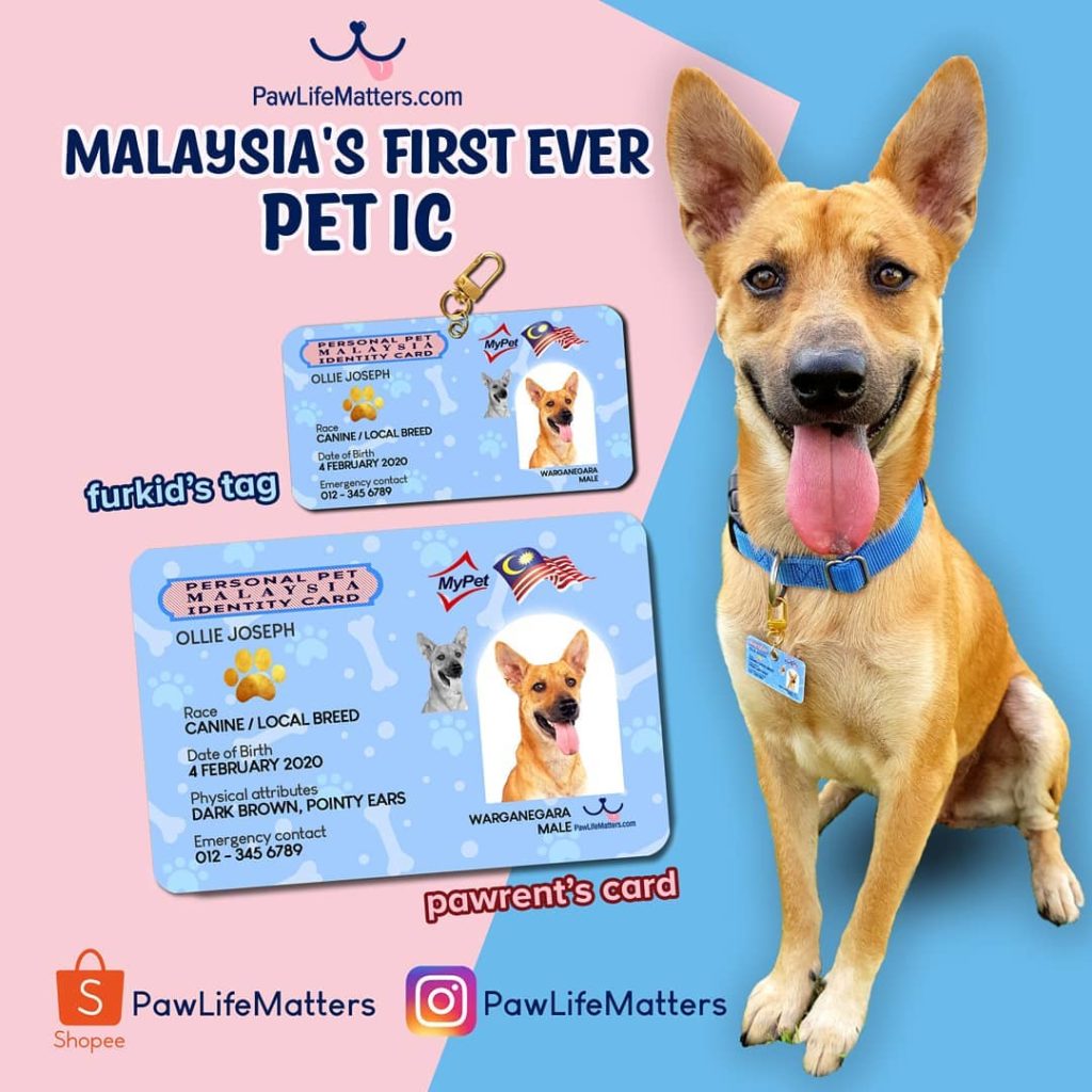 Pet IC That Looks Identical To Our MyKad Now Available For Fur Kids