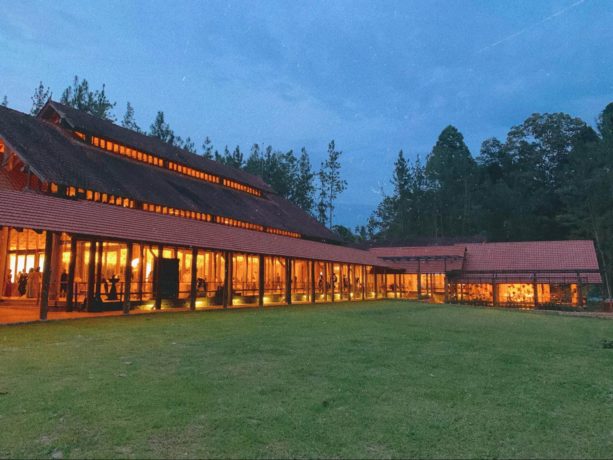 Pineyard: Rustic Cafe Set In A Forest With Scenic Lakeside Views While ...