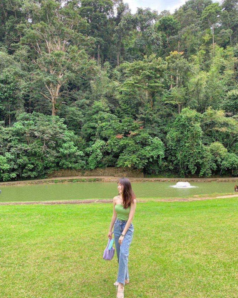 Pineyard: Rustic Cafe Set In A Forest With Scenic Lakeside Views While ...