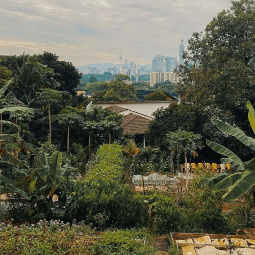 Kebun Kebun Bangsar: Free Family-Friendly Farm With Animals & Scenic ...