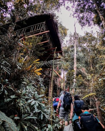 Terra Tree House: Immerse In Nature With Scenic Rainforest Views