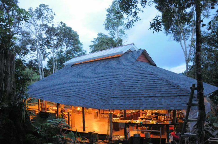 Terra Tree House: Immerse In Nature With Scenic Rainforest Views