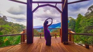 Terra Tree House: Immerse In Nature With Scenic Rainforest Views