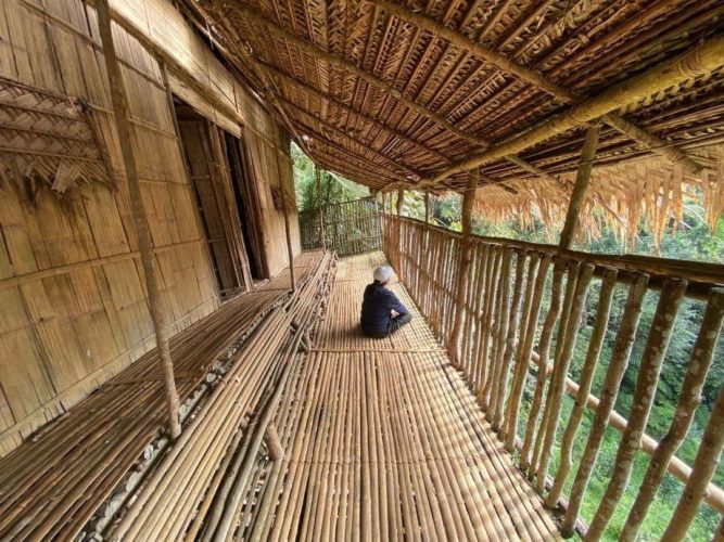 Terra Tree House: Immerse In Nature With Scenic Rainforest Views