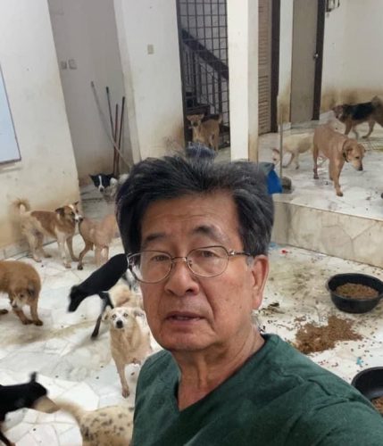 Man With 59 Dogs Pleads For Help As He Contracted Covid-19