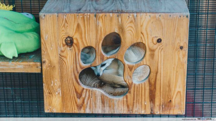 G2G Animal Garden: Kampung-style Petting Zoo For Animal Lovers