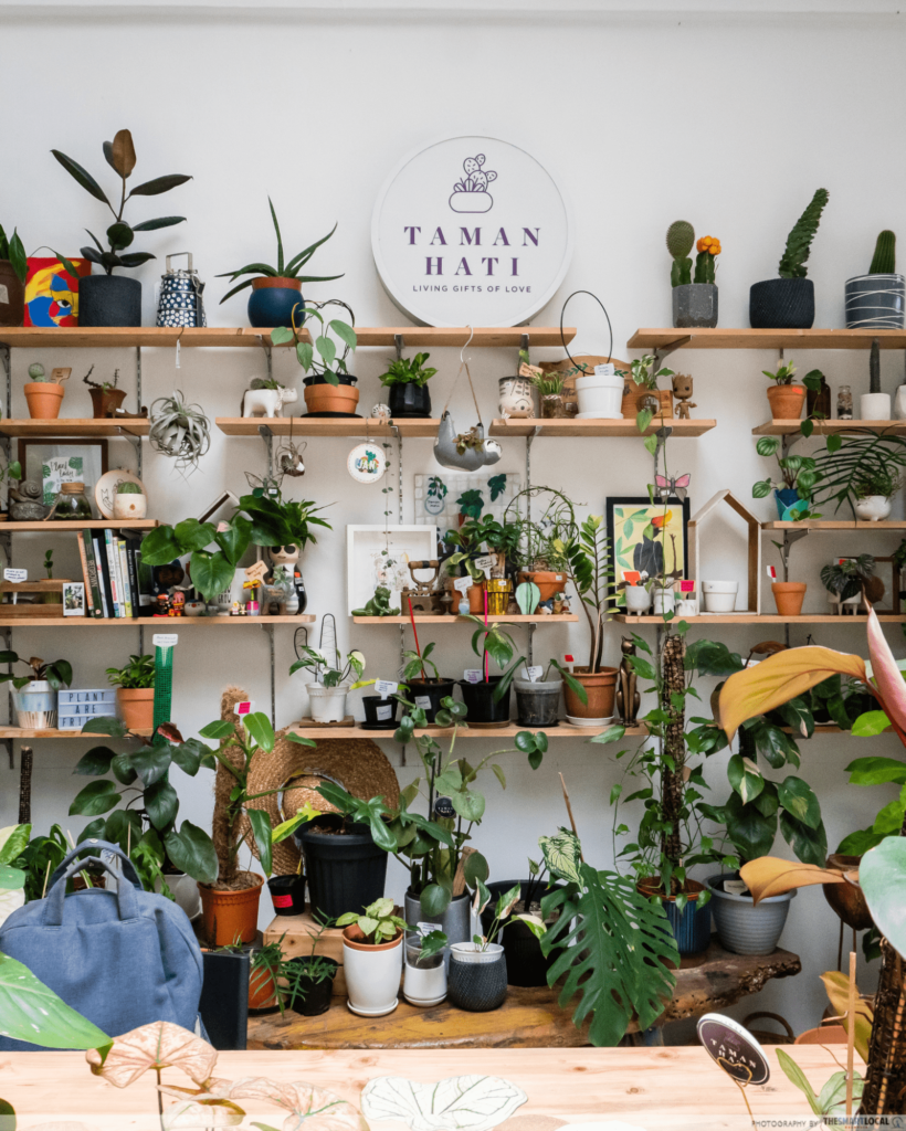 8 Boutique Plant Shops In Klang Valley With Easy-care Plants