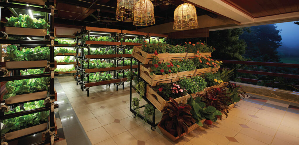 Awana Garden Hot Pot: Farm-to-table Hotpot With 8 Broths In Genting