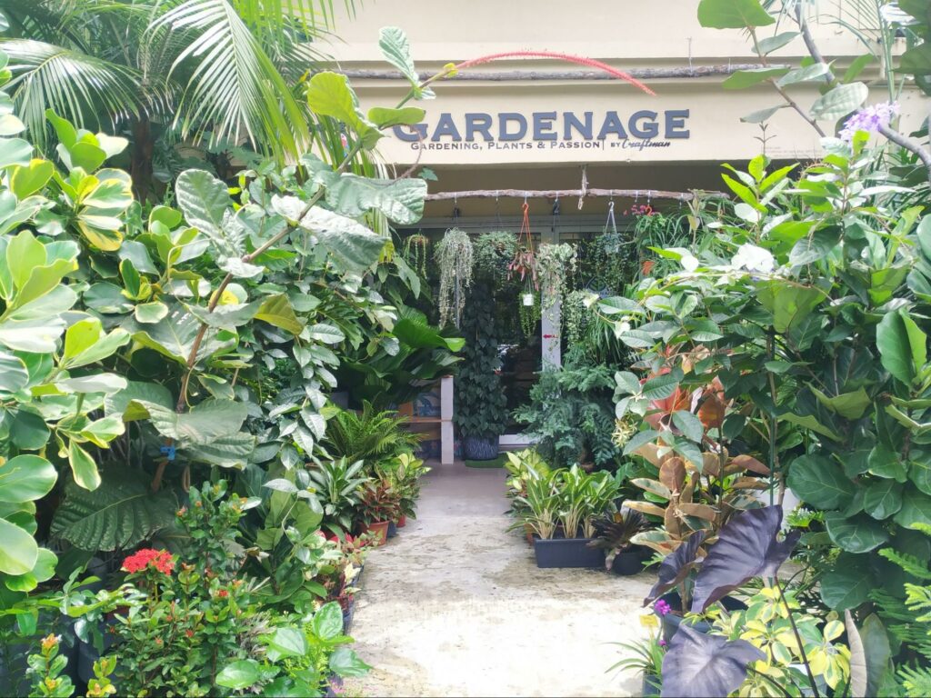 Gardenage by Craftman: Hidden Plant Boutique With A Cafe That Serves ...