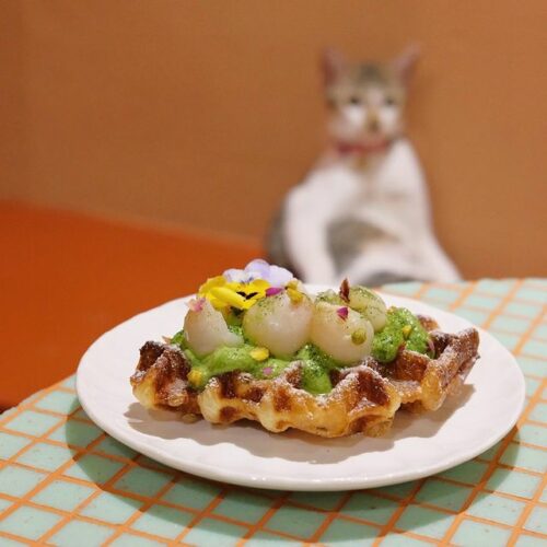 Poppy Kat Is A Retro Cafe That Has 20 Types Of Croffles & Resident Cats