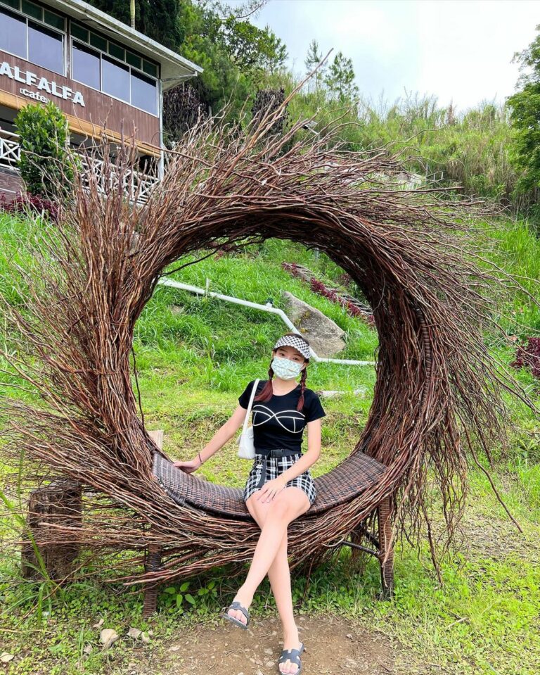 Alpaca Club In Kundasang Lets You Chill With Fluffy Alpacas & Enjoy ...