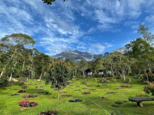 Spring Garden Kundasang Has Private Villas In A Flower Garden