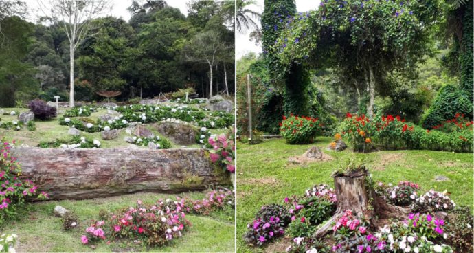Spring Garden Kundasang Has Private Villas In A Flower Garden