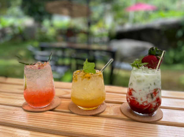 2 Acres Cafe: Feast On Fresh Durians With A View Of Nature In Penang