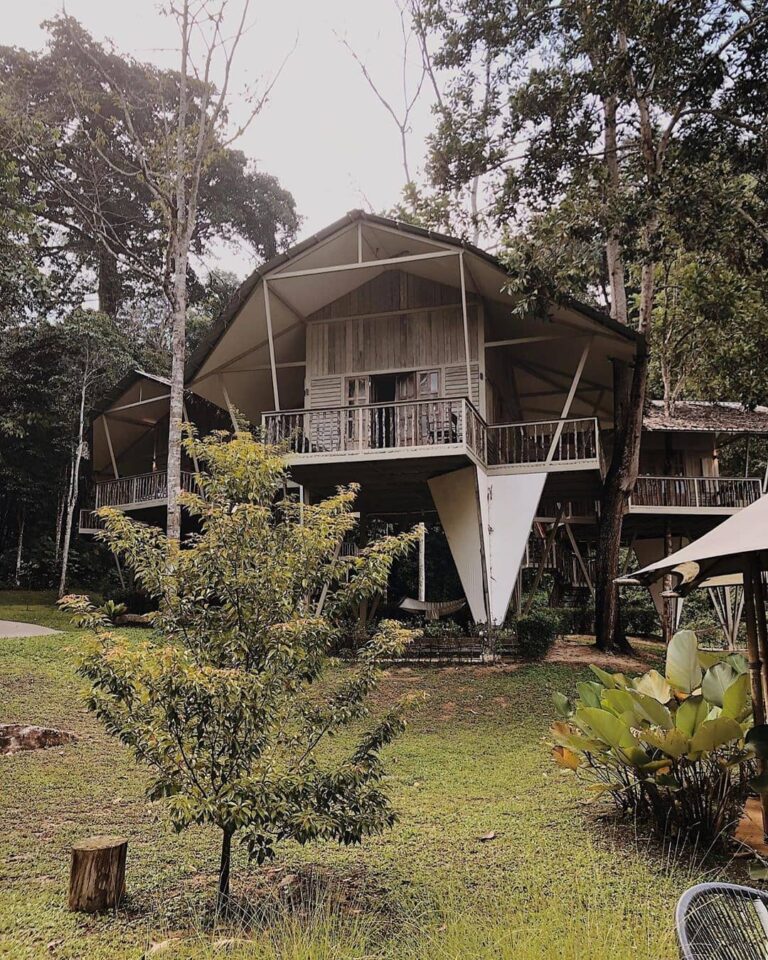 Tiarasa Escapes: Glampsite With Treetop Villas & Outdoor Movie Nights