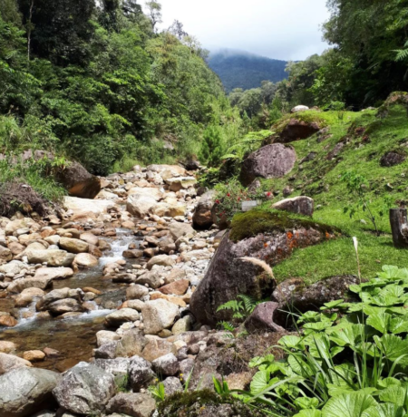 Spring Garden Kundasang Has Private Villas In A Flower Garden