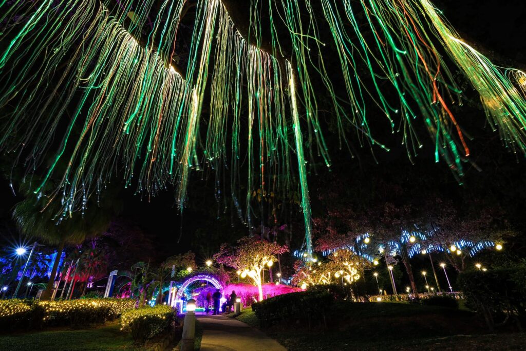Putrajaya Secret Garden Has Magical Neon Trees That Look Like Avatar
