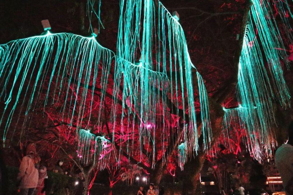 Putrajaya Secret Garden Has Magical Neon Trees That Look Like Avatar