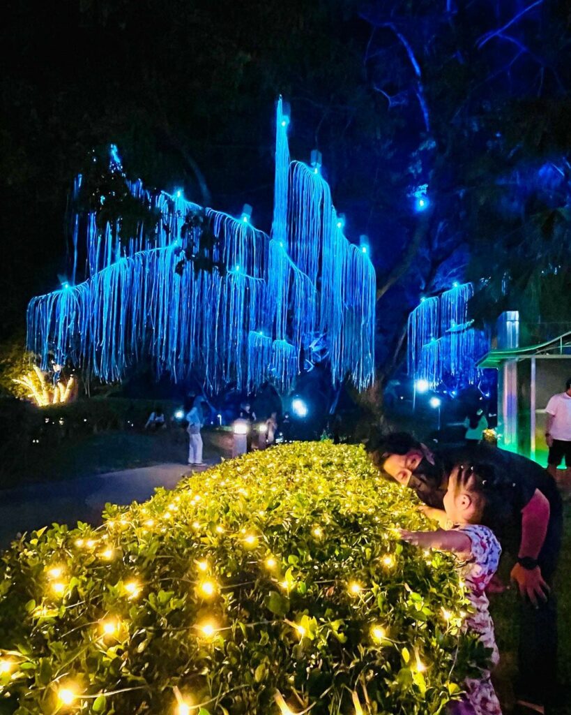 Putrajaya Secret Garden Has Magical Neon Trees That Look Like Avatar