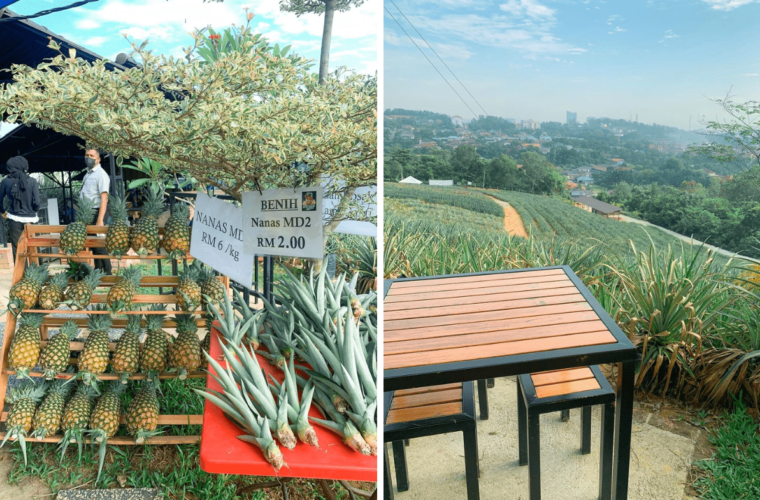 8 Farm Cafes & Restaurants Near KL Where You Can Dine Out In Nature