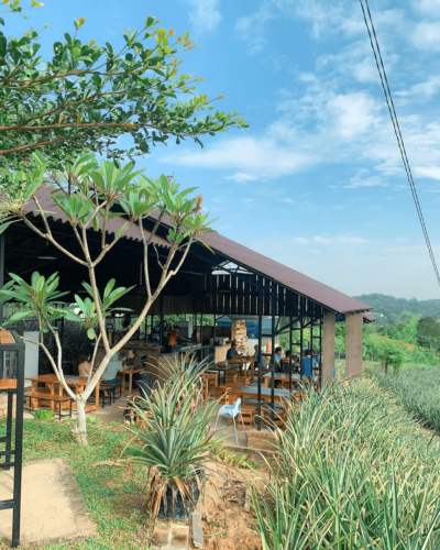 8 Farm Cafes & Restaurants Near KL Where You Can Dine Out In Nature