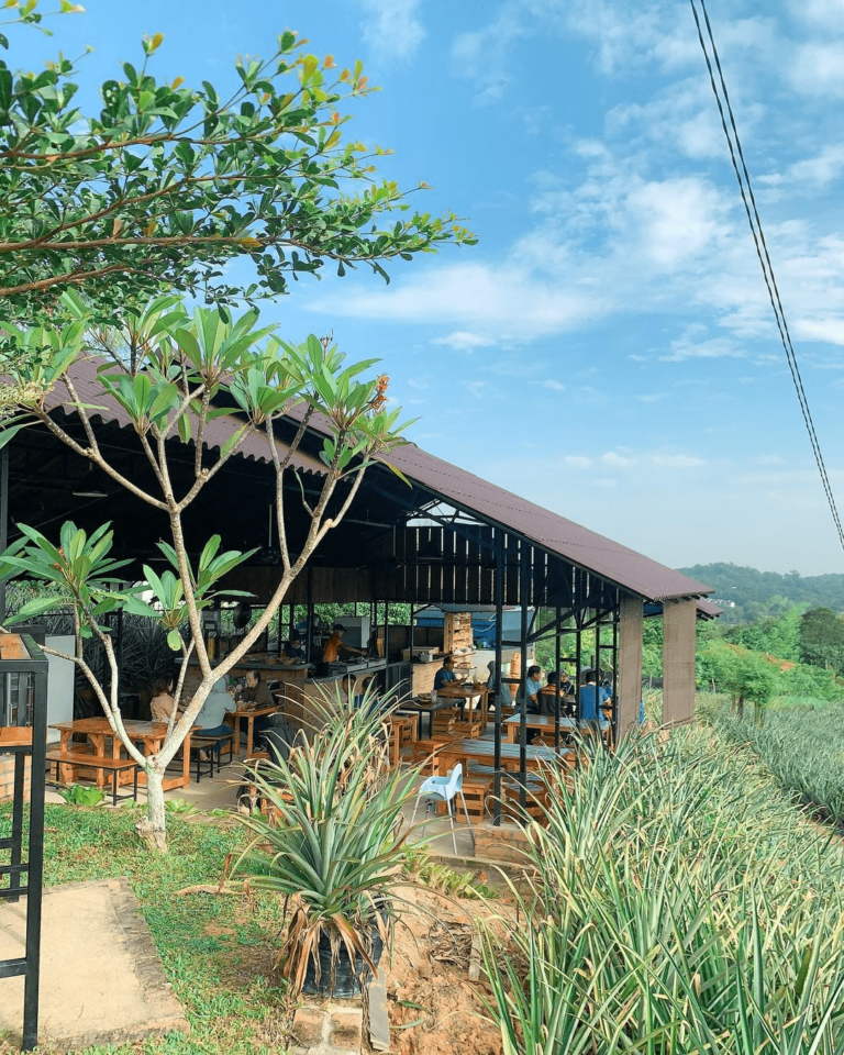 8 Farm Cafes & Restaurants Near KL Where You Can Dine Out In Nature