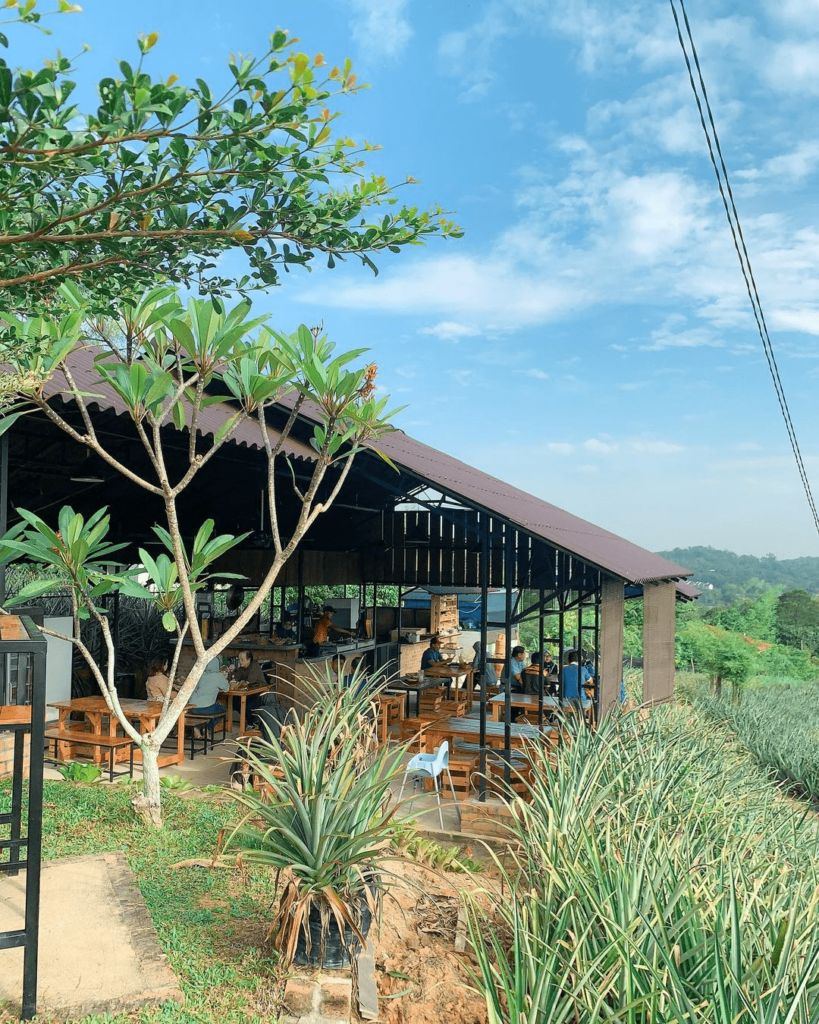 8 Farm Cafes & Restaurants Near KL Where You Can Dine Out In Nature