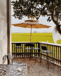 8 Farm Cafes & Restaurants Near KL Where You Can Dine Out In Nature