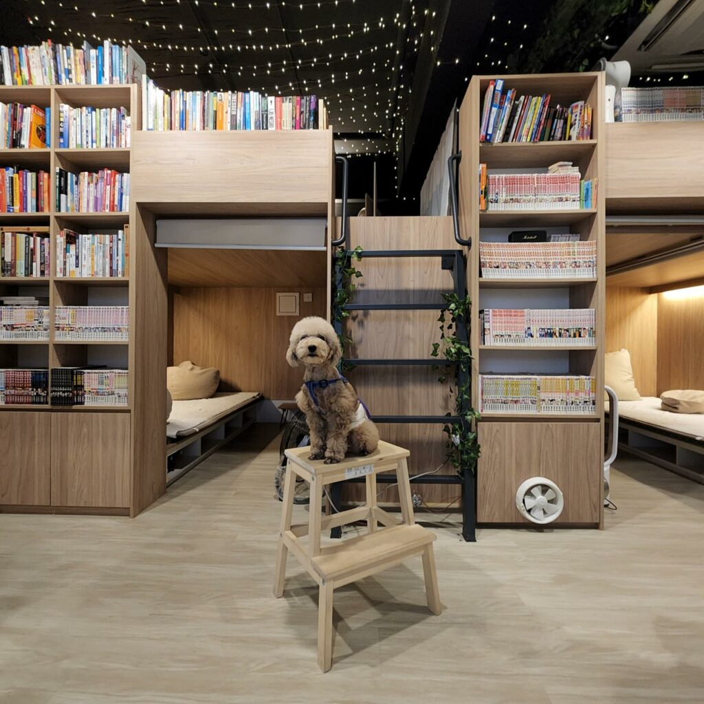 Solo Date Ideas: 9 Ways To Have Some Me Time In Klang Valley