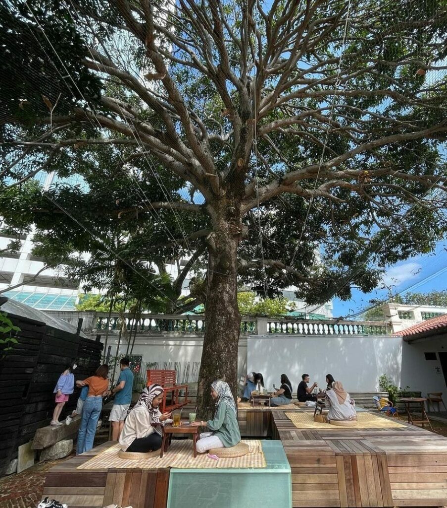 Cafe Mangga In Blue Mansion Has Picnic-Style Seats Under A Mango Tree