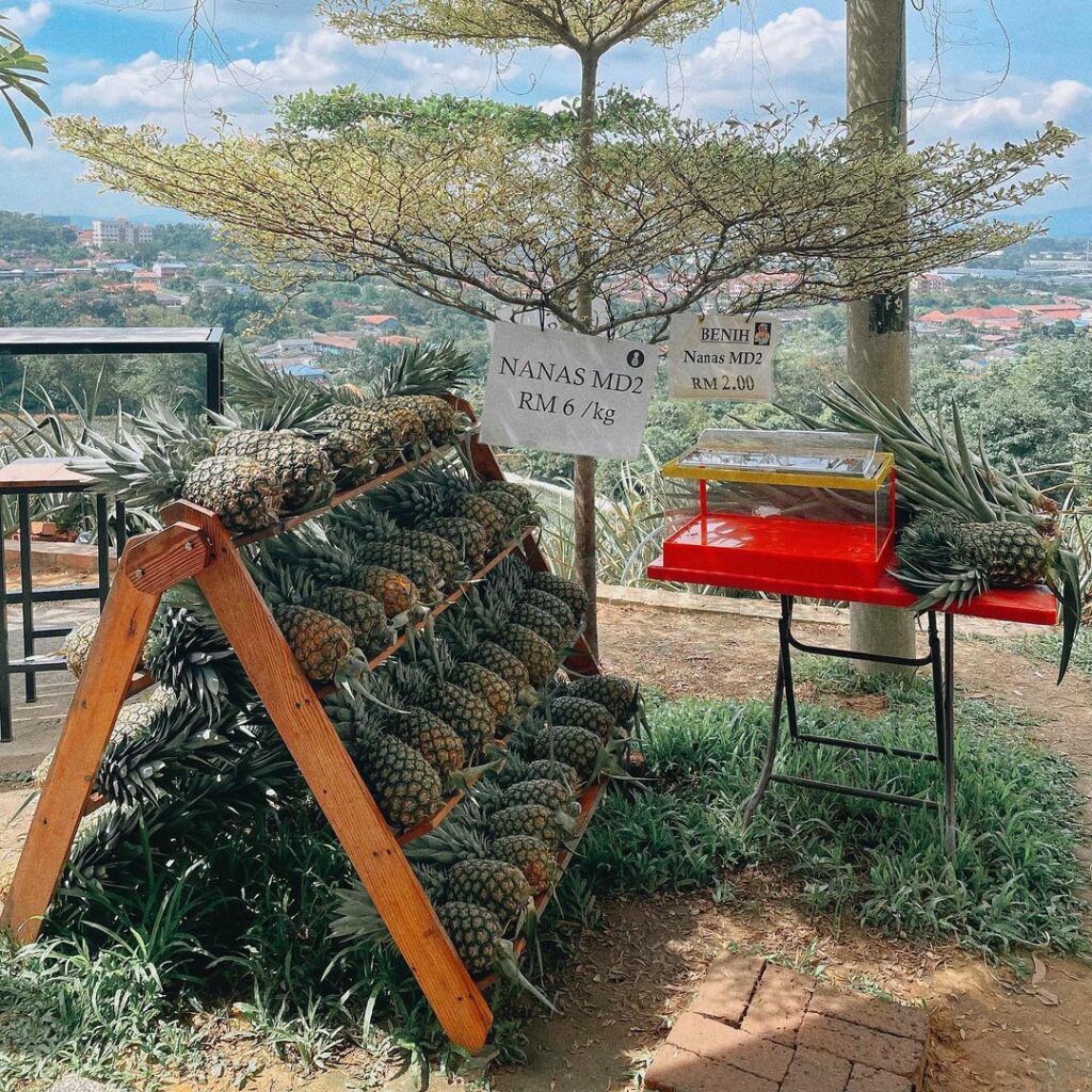 Saudagar Nanas Is A Farm Cafe In Kajang With Pineapple Desserts