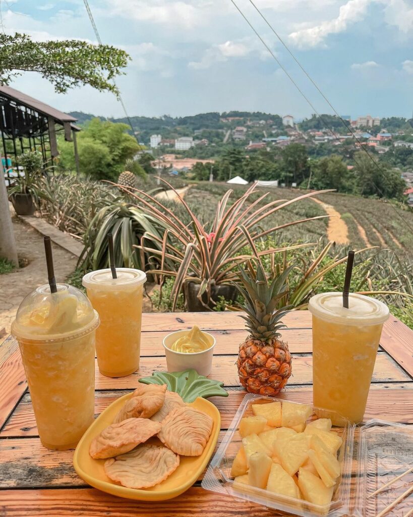 Saudagar Nanas Is A Farm Cafe In Kajang With Pineapple Desserts