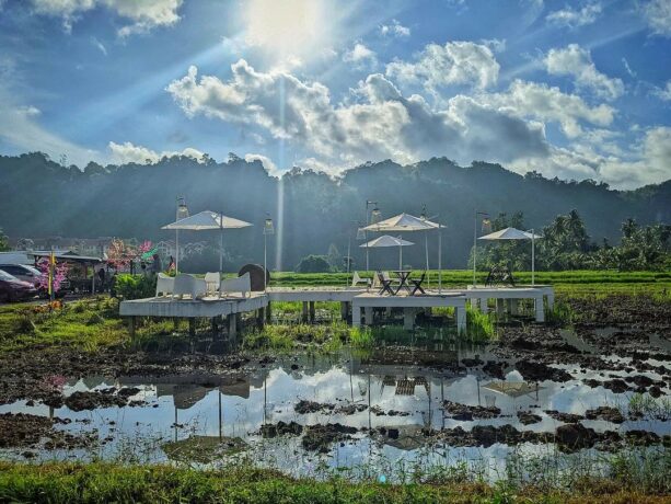 Sadiah Cafe: Dine Next To A Paddy Field & Savour Local Dishes In Perlis