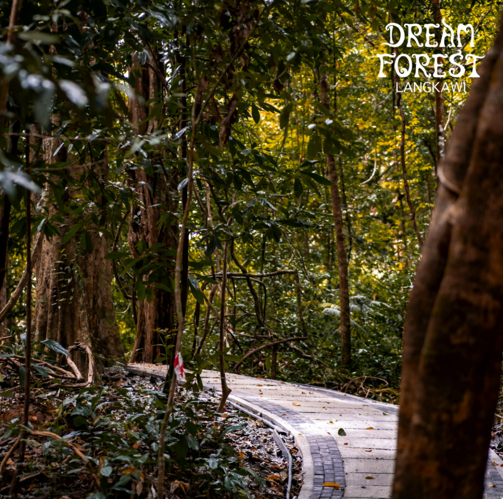 Dream Forest Langkawi Is A New Attraction Set In A Forest With ...
