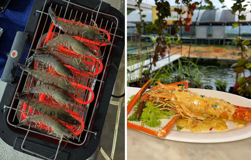 Utama Prawning In PJ Has Late-Night Prawning From RM35/Hour