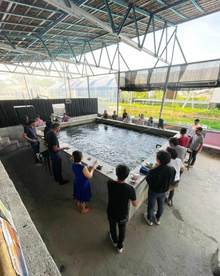 Utama Prawning In PJ Has Late-Night Prawning From RM35/Hour