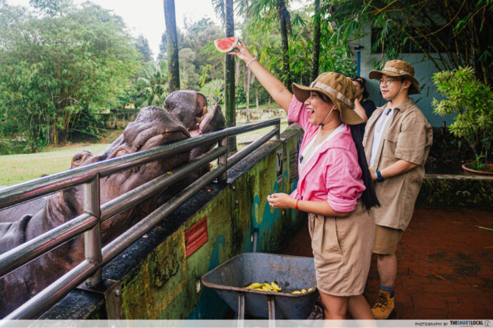 Gamuda Cove Guide: Adrenaline Rides & Fam-Friendly Activities Near KL