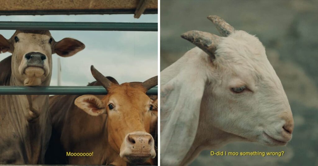 Julie's Goat Videos Bear Important Reminders For When You Feel Meh