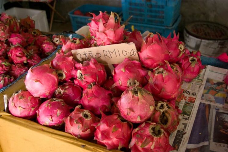 10 Things To Do In Tanjung Sepat Like A IG-Worthy Bridge & Seafood BKT