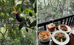 7 Pet Cafes In Malaysia To Hang Out With Exotic Animals & More