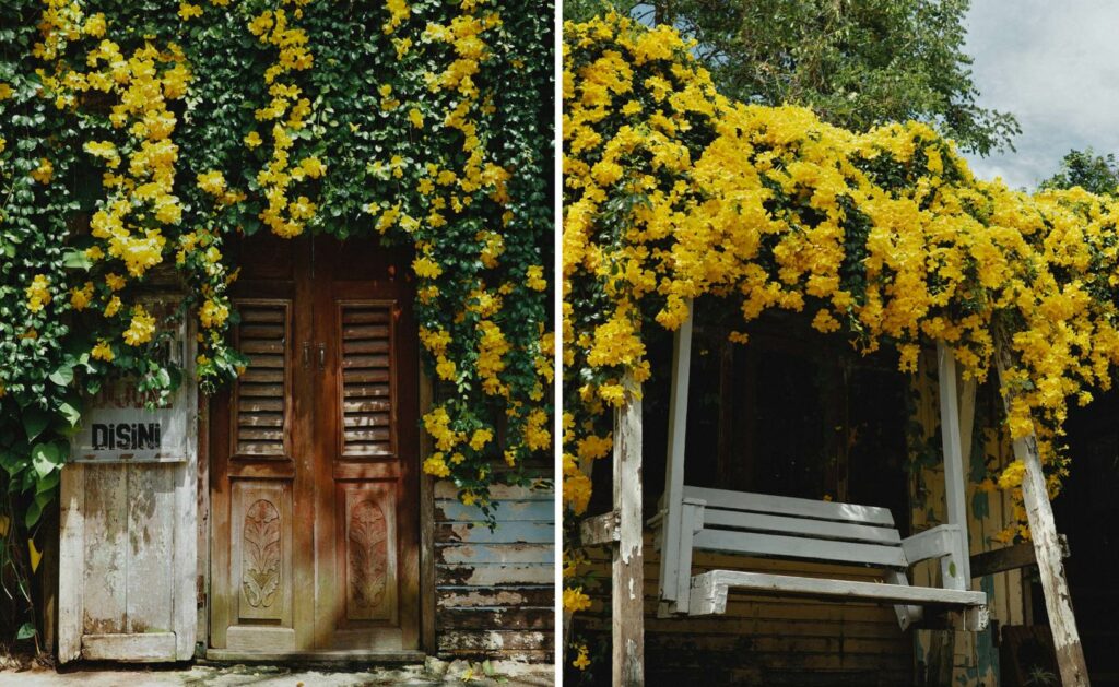 The Coffee Cottage Is A Cosy Cottage-Style Hut In Penang