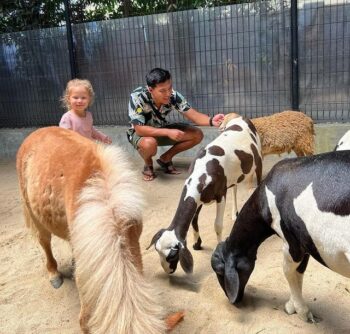 7 Pet Cafes In Malaysia To Hang Out With Exotic Animals & More