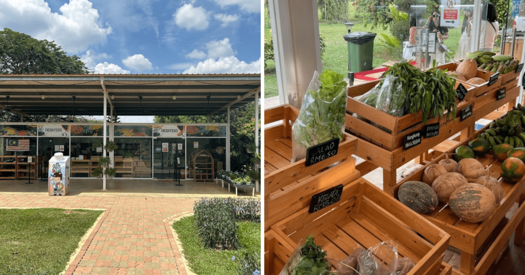 Farm Fresh: Dairy Farm With Cow Barns & Tractor Rides Near KL