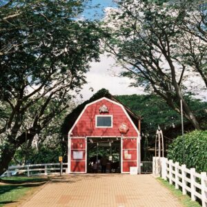 Farm Fresh: Dairy Farm With Cow Barns & Tractor Rides Near KL