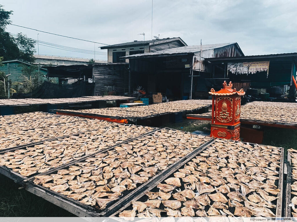 Kuala Kurau Guide: A Lesser-Known Fishermen’s Village In Perak