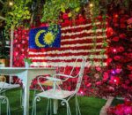 7 Things To Know About Malaysia's National Flower, Bunga Raya